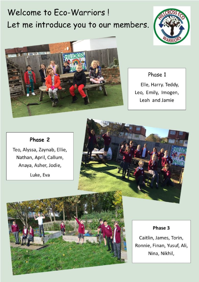 Hillcross Primary - Eco-Warriors
